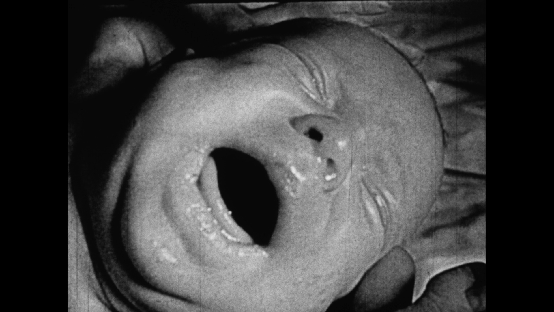 Mom And Dad Blu Ray June Carlson