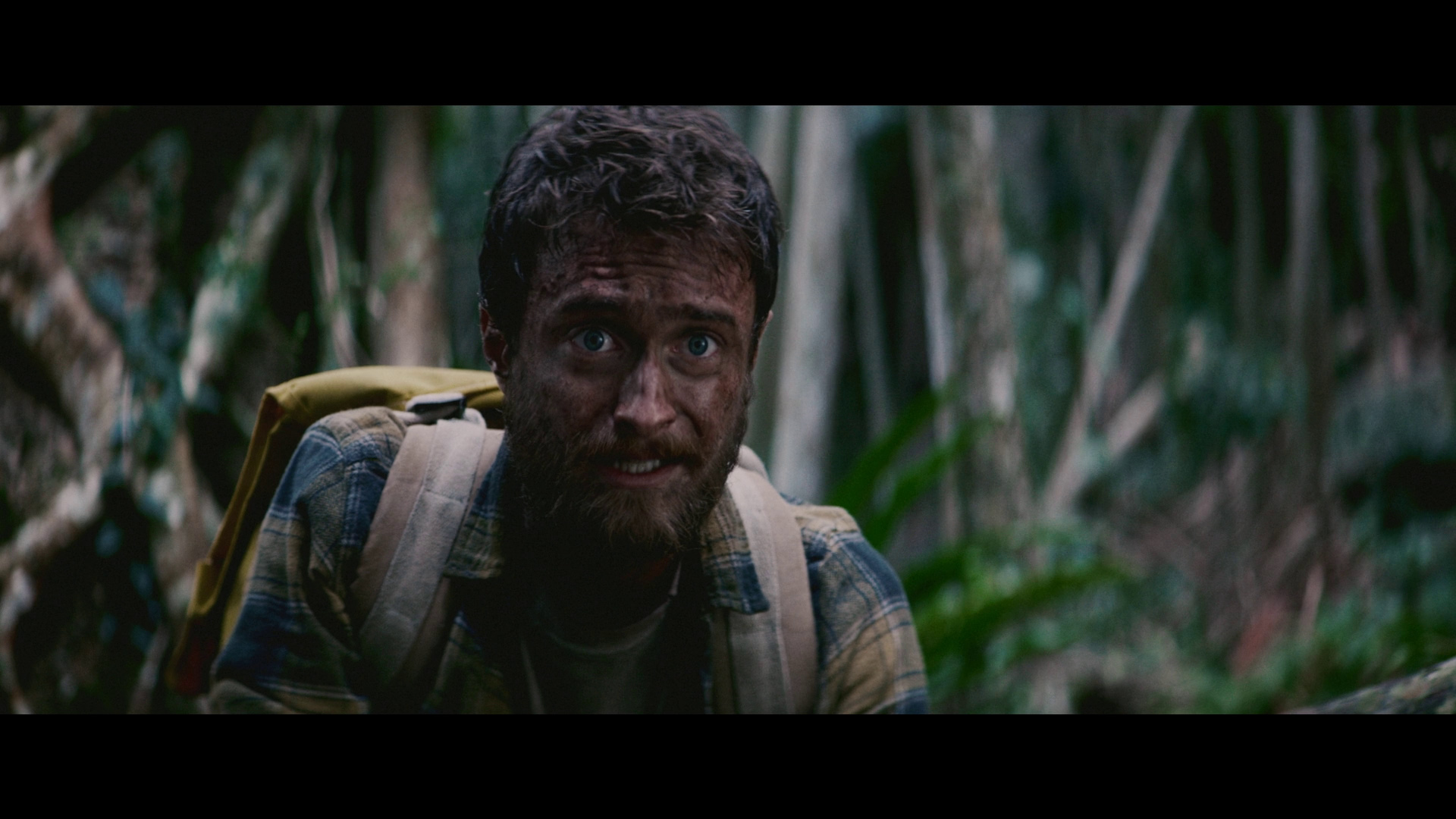 Jungle Blu ray Daniel Radcliffe