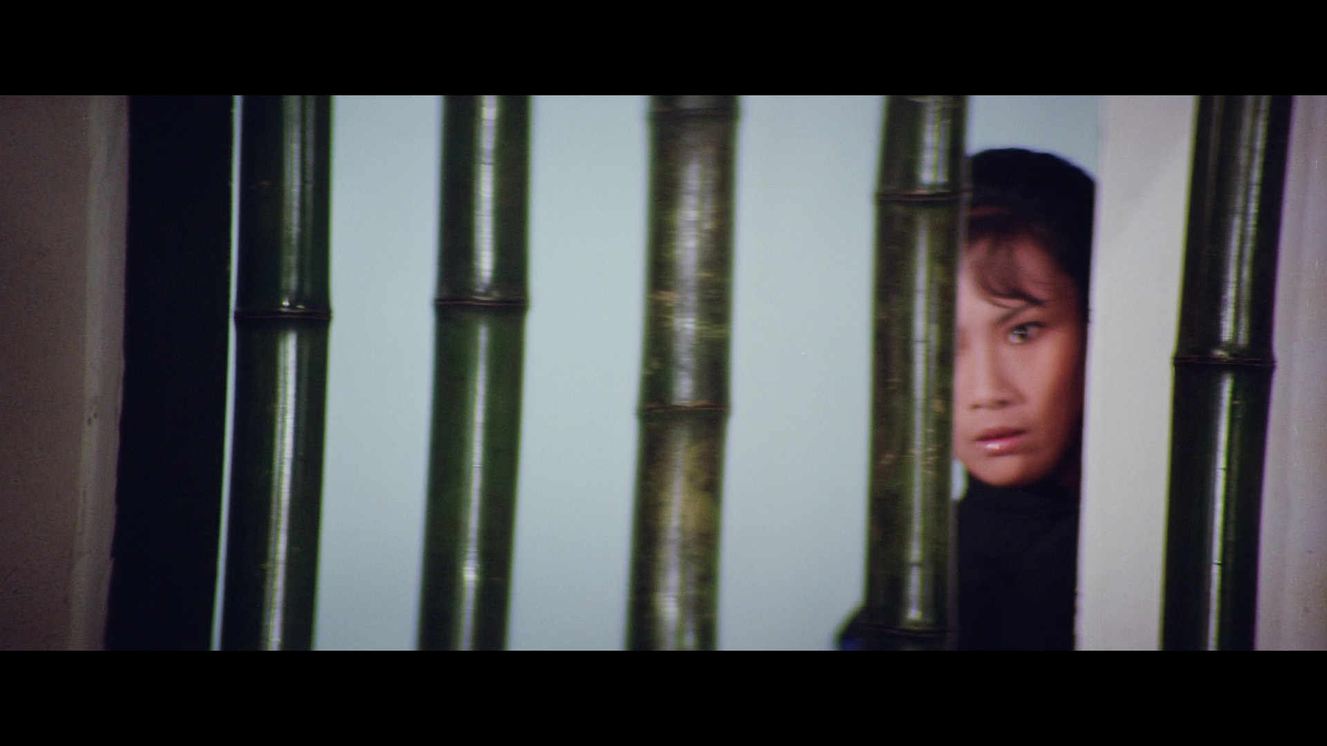 Angela Mao: Hapkido & Lady Whirlwind Blu-ray