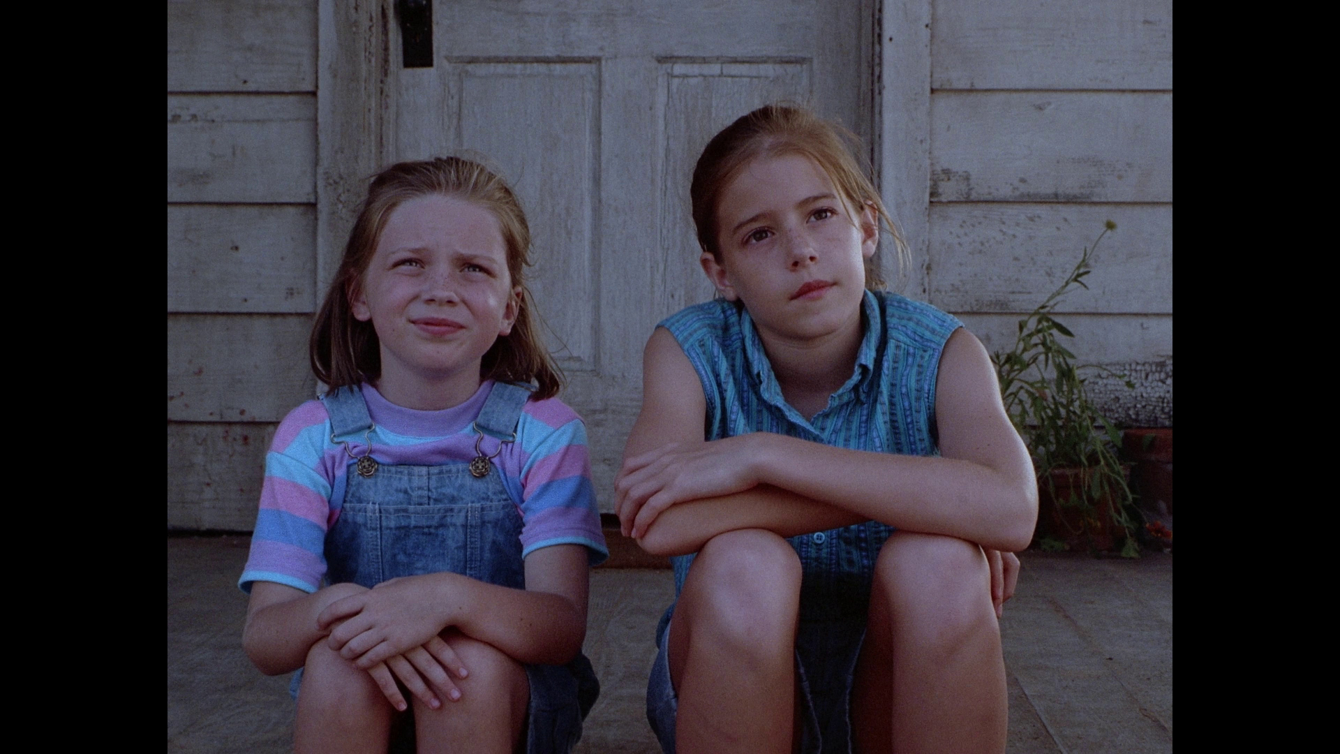 The Birds II: Land's End Blu-ray - James Naughton / Tippi Hedren