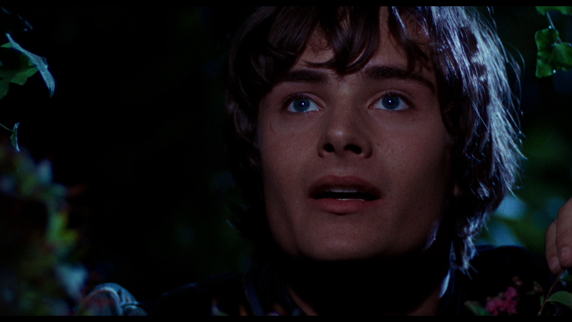 Romeo and Juliet Blu-ray - Olivia Hussey