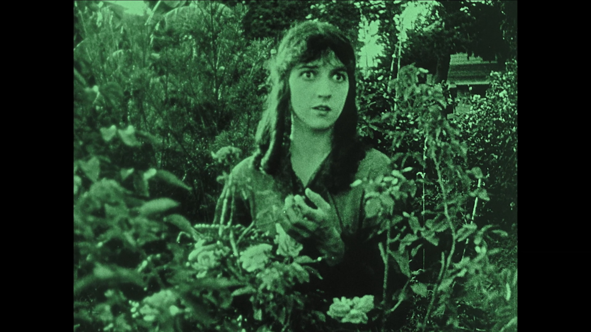 The Birth of a Nation: Controversial Classic Gets a Definitive New ...