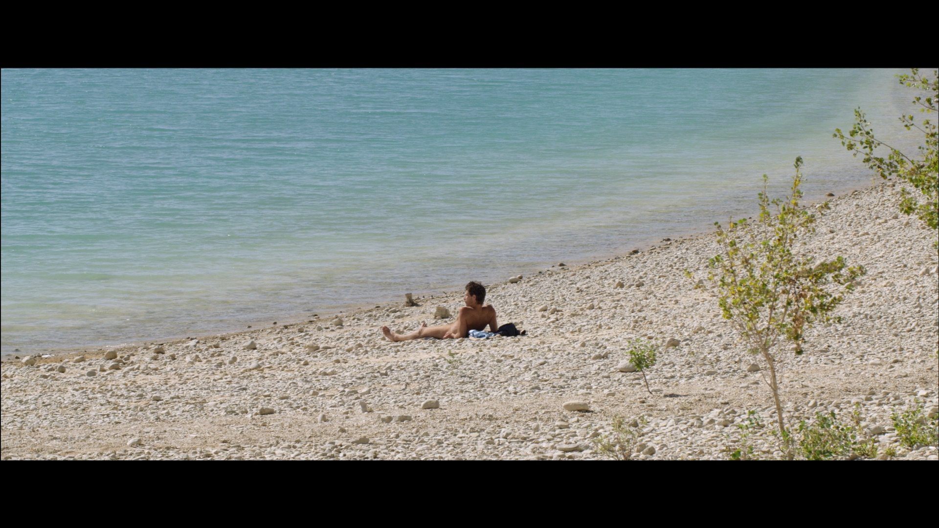 Stranger By The Lake Dvd 9737