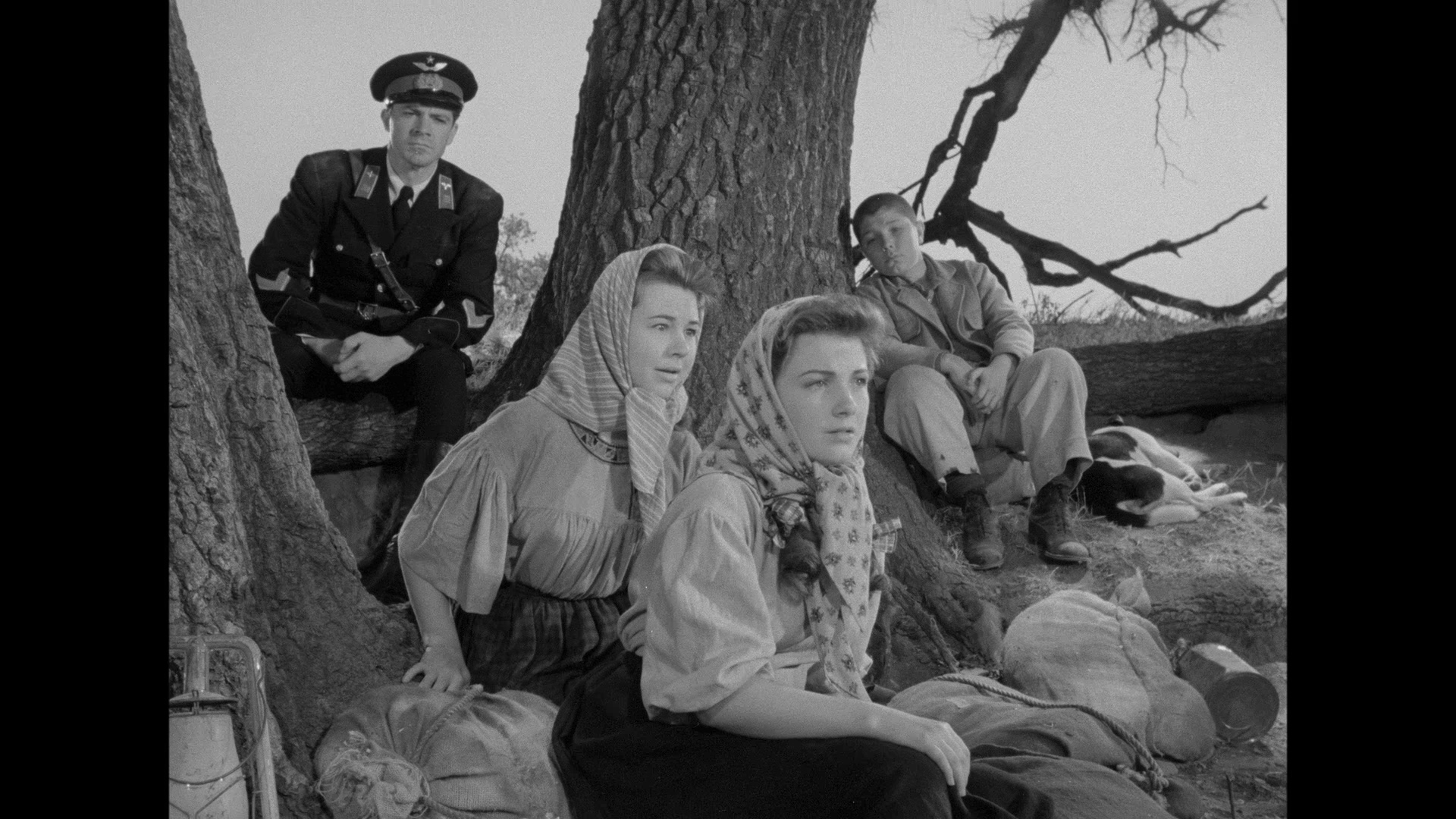 Armored Attack Blu-ray - Dana Andrews