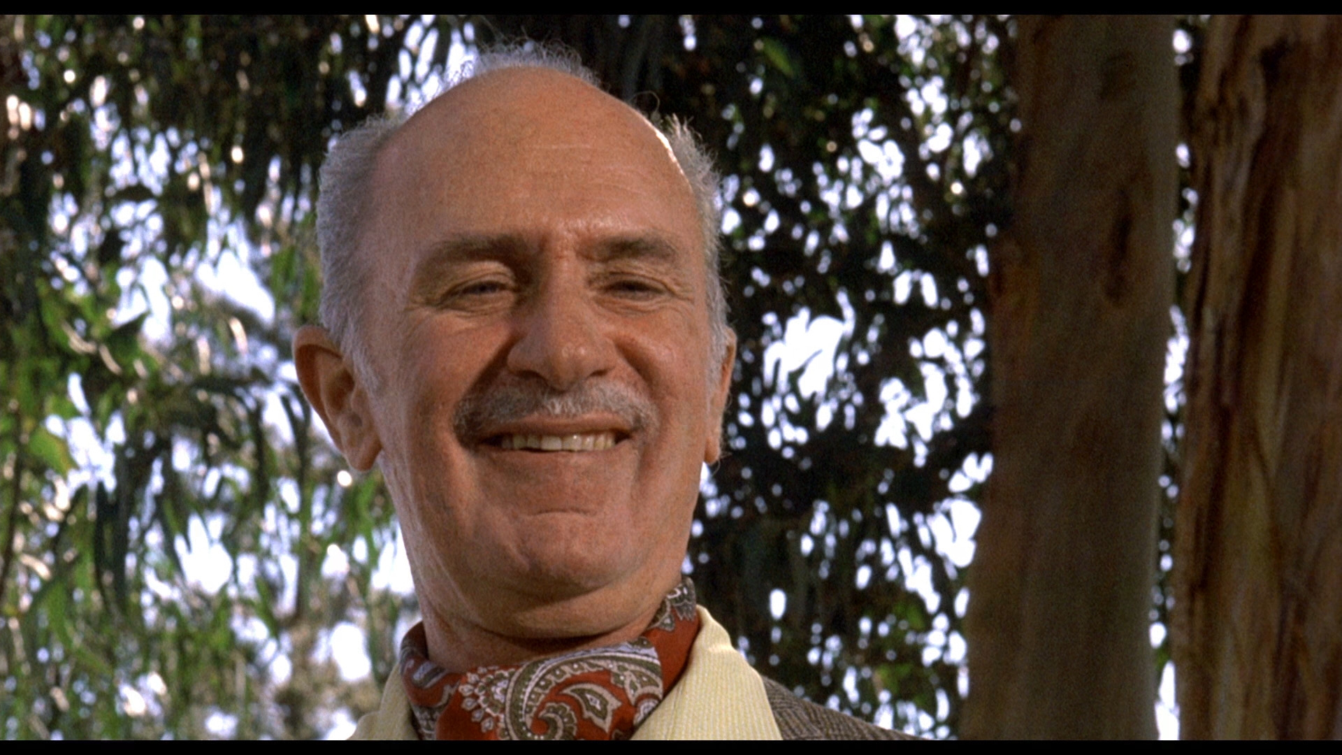 charles bronson the mechanic plot